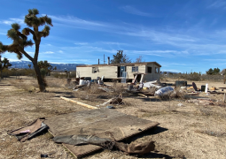 What is Neighborhood Blight?